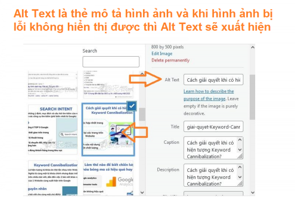 Alt Text là gì? Cách để tối ưu cho thẻ Alt Text - EZ Marketing